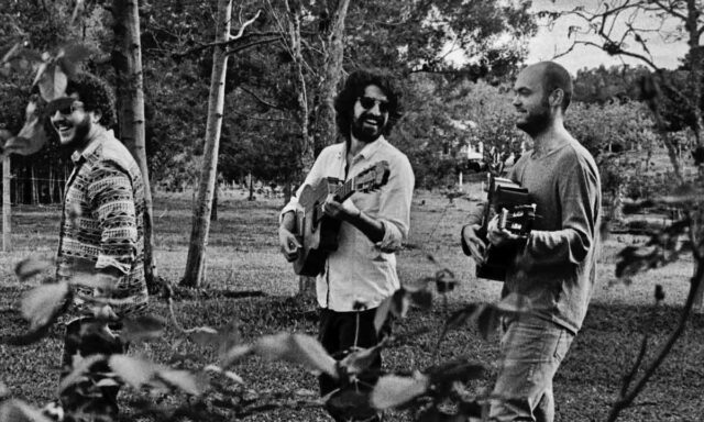 TIDAL RISING: DINGO BELLS | TIDAL Magazine