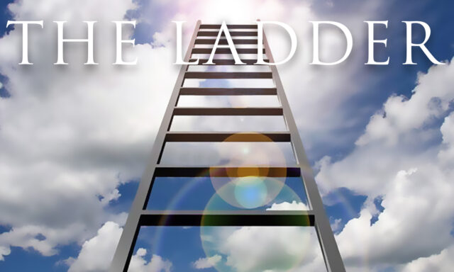 Purple Pick of the Week: “The Ladder” | TIDAL Magazine